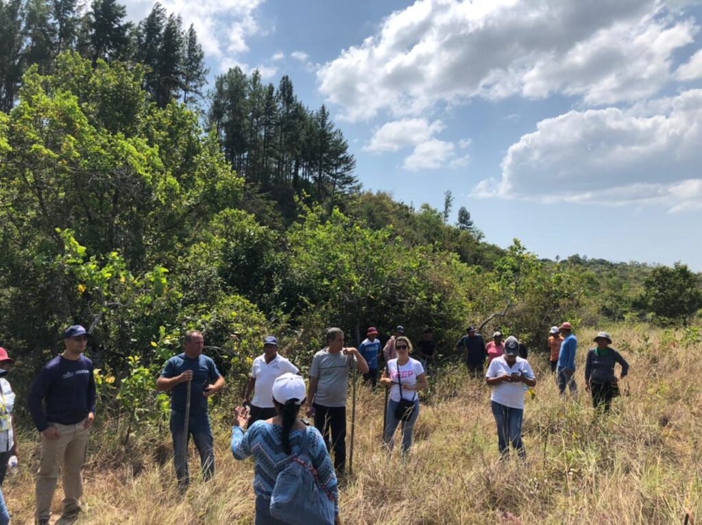 MiAMBIENTE y FAO comparten saberes - Dirección de Cambio Climático