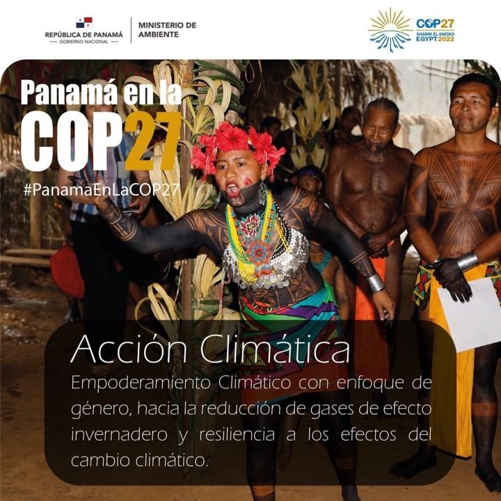 COP 27 - Dirección de Cambio Climático